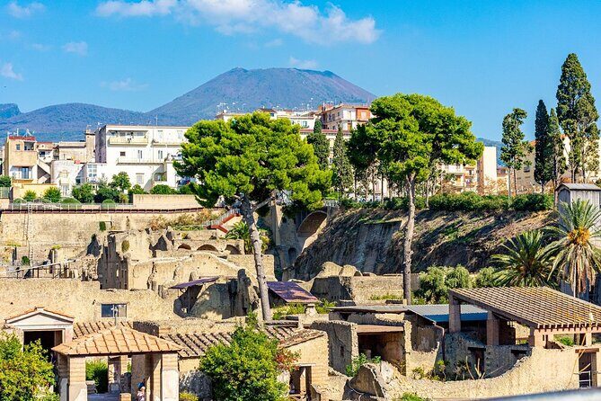 Herculaneum and Vesuvius Private Tour from Naples - Key Points