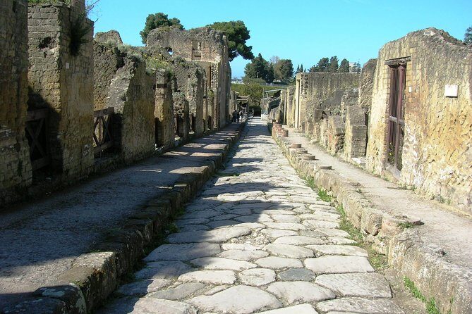 Herculaneum Guided Group Tour from Naples - The Itinerary Breakdown: What to Expect