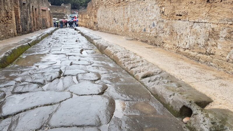Herculaneum Guided Walking Tour  Priority Access - Why This Tour Stands Out