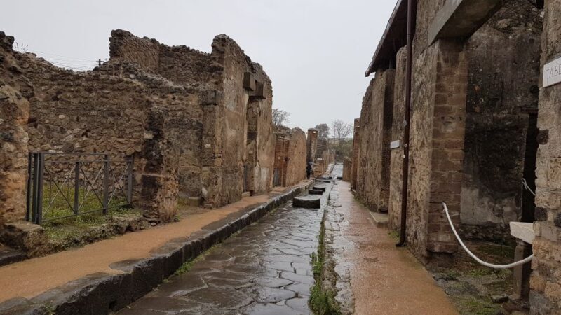 Herculaneum Guided Walking Tour  Priority Access - Who Would Love This Tour?