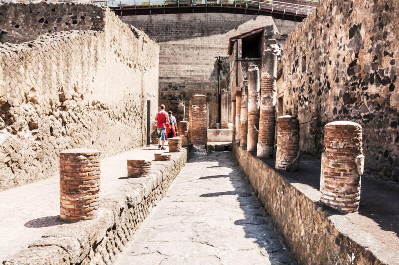 Herculaneum Guided Walking Tour with Entry Ticket - Key Points