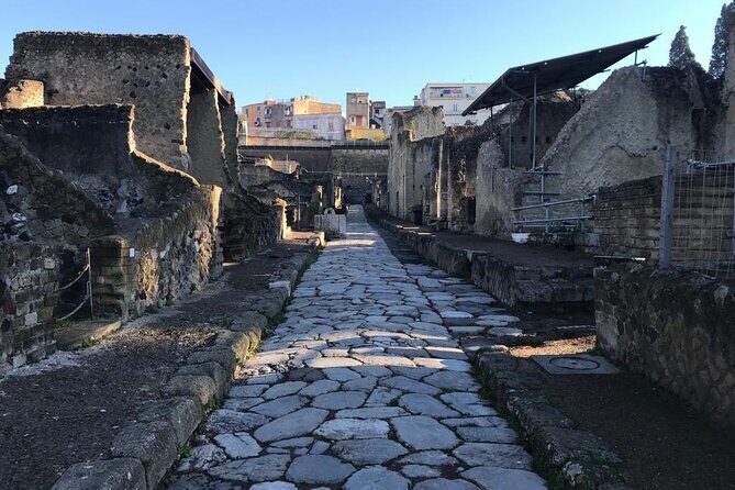 Herculaneum - Private Tour (skip-the-line admission included) - The Experience of a Lifetime or a Quick Cultural Fix?