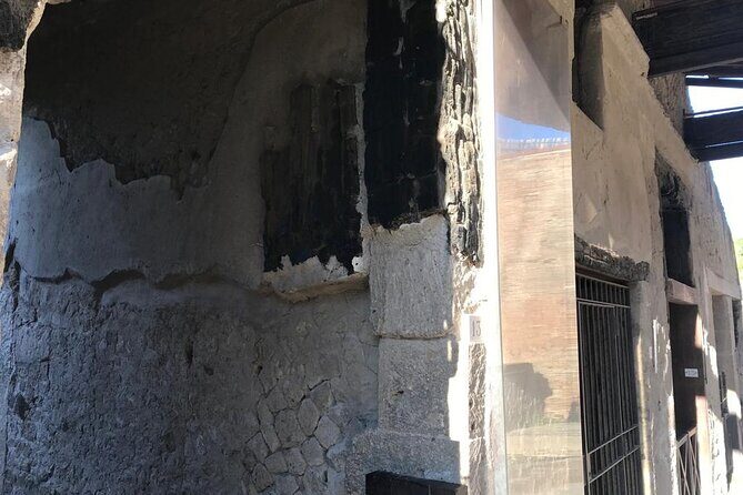 Herculaneum - Private Tour (skip-the-line admission included) - Who Will Enjoy This Tour?