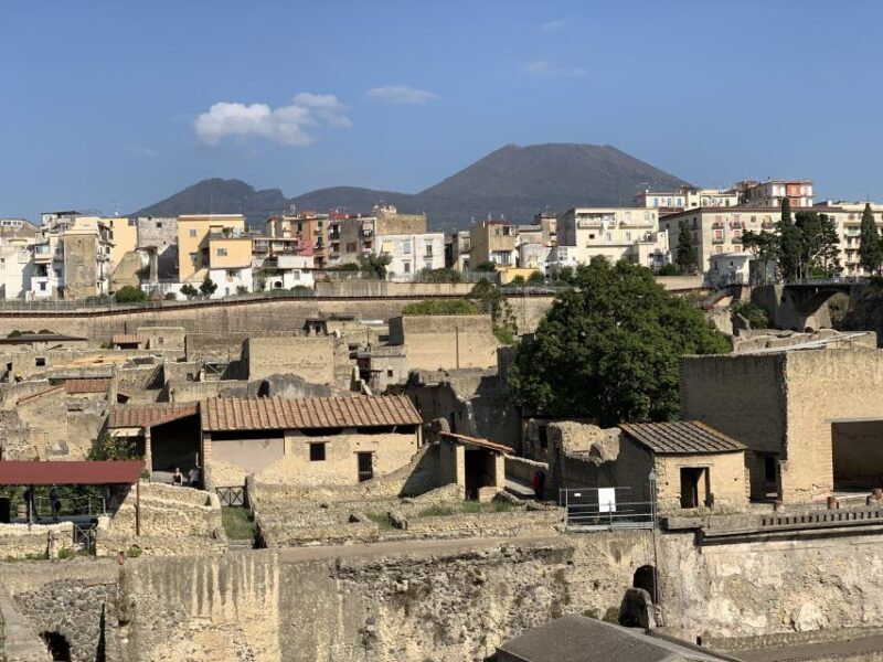 Herculaneum: Tickets & Tour with a Local Archaeologist - Key Points