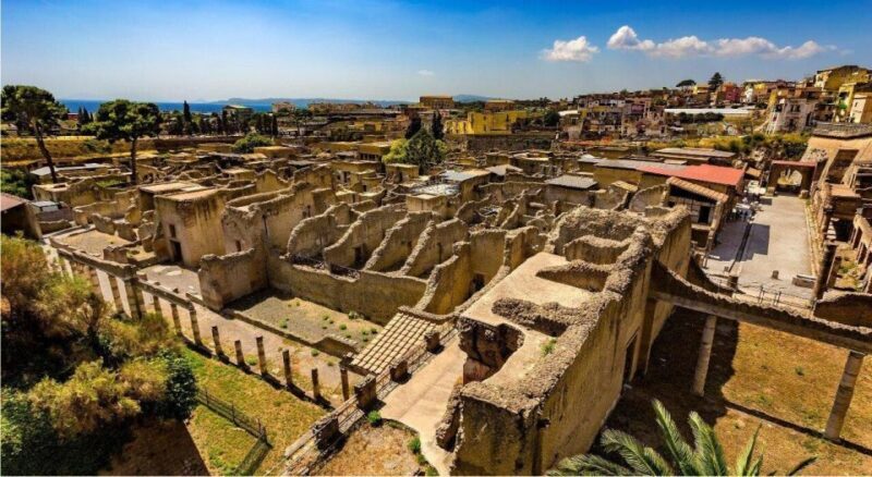 Herculaneum with an Archaelogical Guide & Ticket - A Detailed Look at the Herculaneum Tour