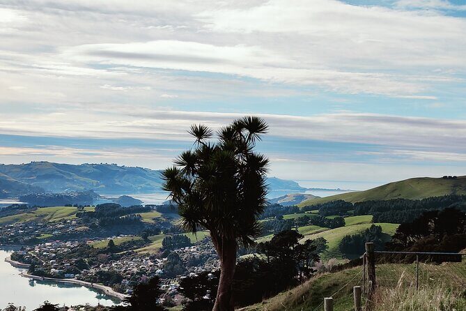 Heritage City and Larnach Castle Van tour with Historian Guide - Practical Details and Value