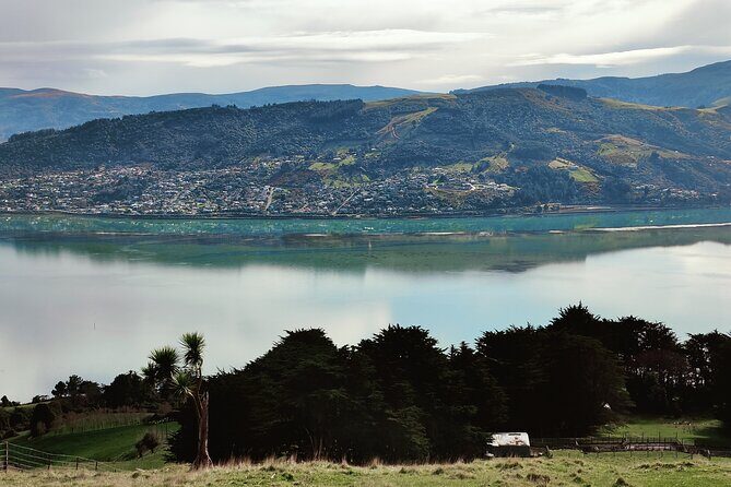 Heritage City and Larnach Castle Van tour with Historian Guide - Final Thoughts: Who Will Love This Tour?