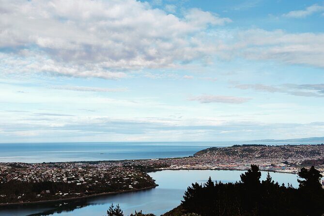 Heritage City and Larnach Castle Van tour with Historian Guide - FAQ