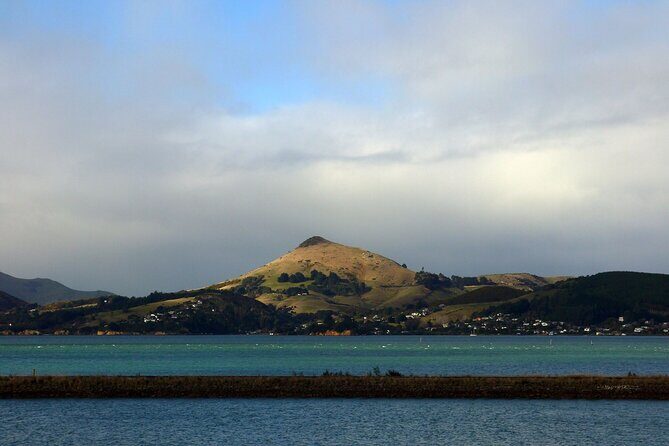Heritage City and Larnach Castle Van tour with Historian Guide - In The Sum Up