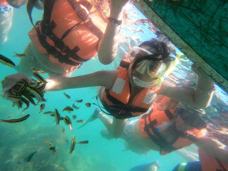 Hermosa Isla de ixtapa - Key Points