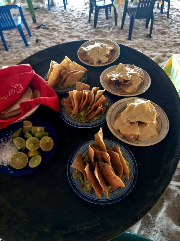 Hermosa Isla de ixtapa - Wildlife & Nature Encounters