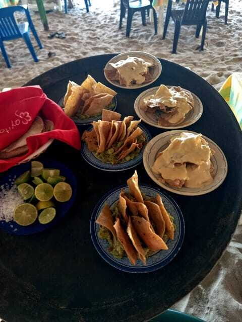 Hermosa Isla de ixtapa - Wildlife Reserves: Crocodiles, Iguanas, and More