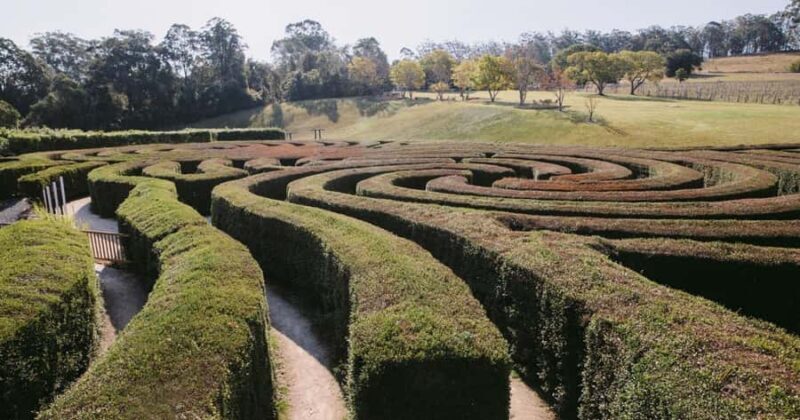 Herons Creek: Bago Maze Entry Ticket - Key Points