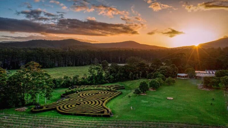 Herons Creek: Bago Maze Entry Ticket - Who Will Love This Experience?