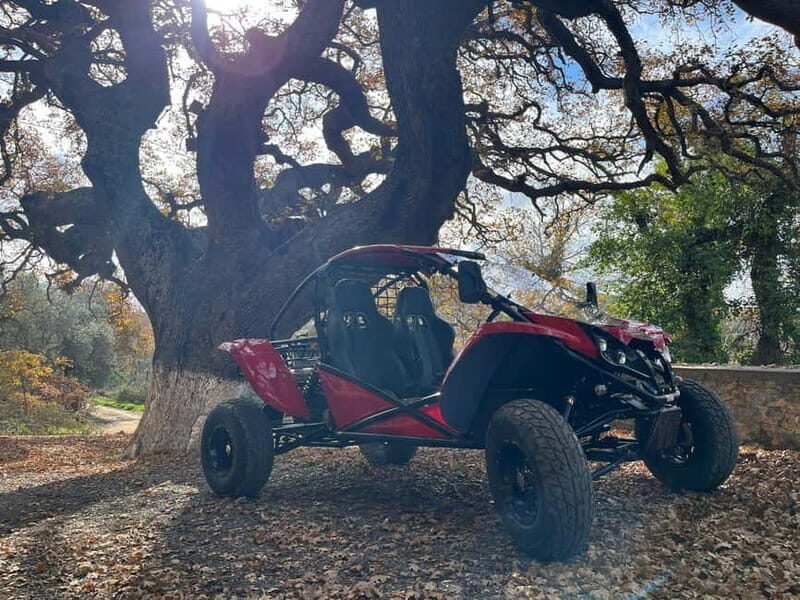 Hersonissos: Buggy Adventure Tour - Final Thoughts