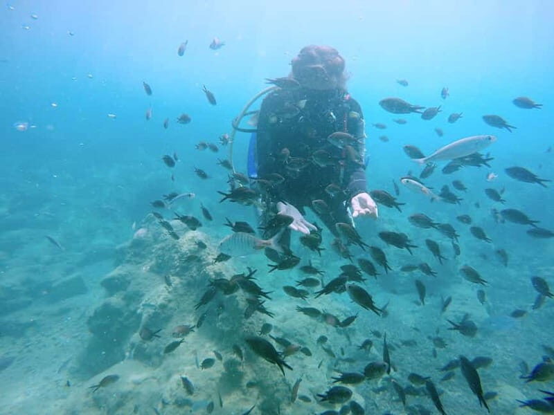 Hersonissos, Stalida: Scuba Diving Experience for beginners - Why This Scuba Experience Stands Out