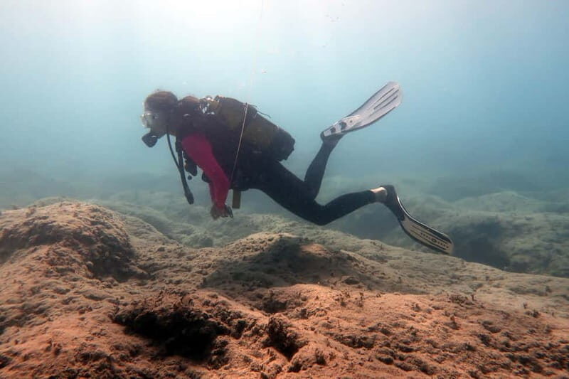 Hersonissos, Stalida: Scuba Diving Experience for beginners - What’s Included & Practical Details