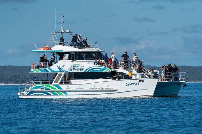 Hervey Bay: Best Value Half Day Whale Watching Cruise - Why Choose the Hervey Bay Whale Watching Cruise?
