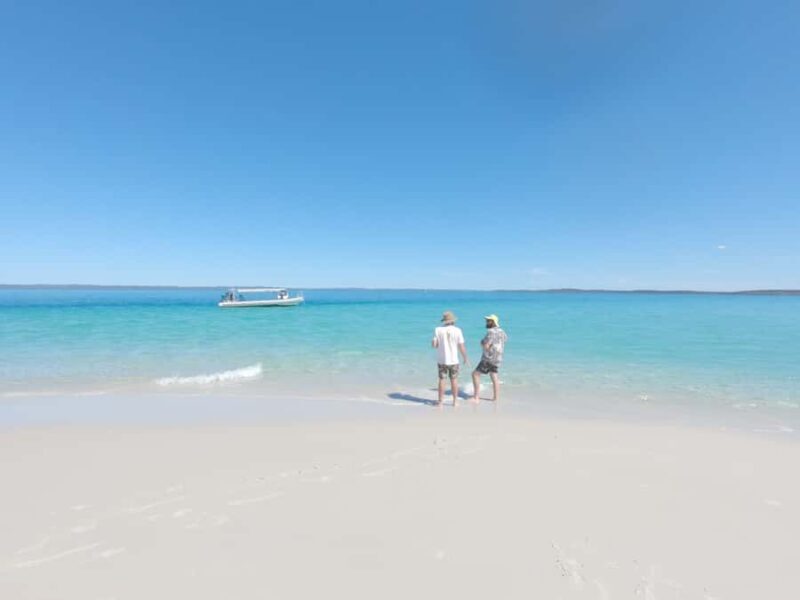 Hervey Bay: Exclusive Island Hopper Adventure Cruise - Authentic Reviews and What They Tell Us
