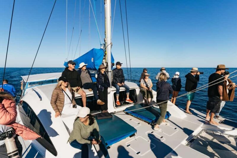 Hervey Bay: Exclusive Whale Watch Encounter - Frequently Asked Questions