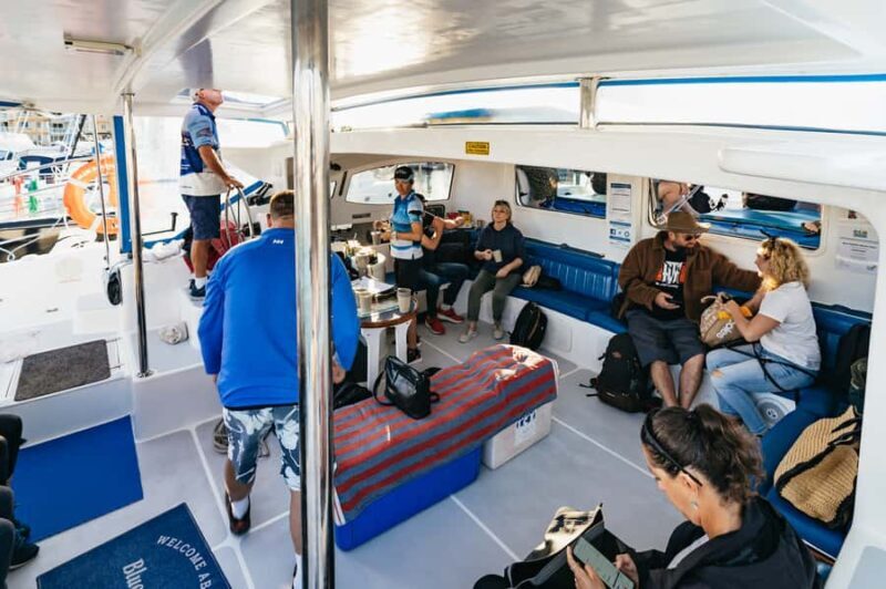 Hervey Bay: Exclusive Whale Watch Encounter - In The Sum Up