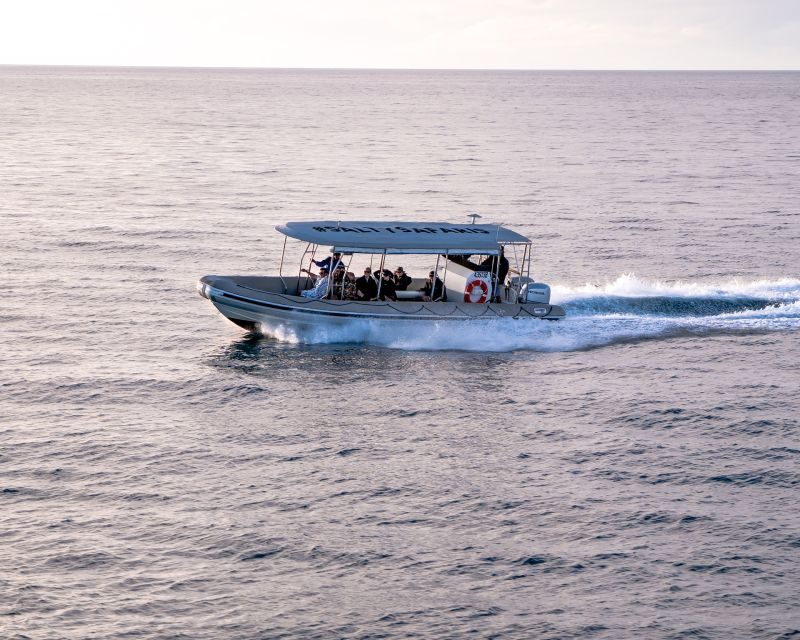 Hervey Bay: Half-Day Whale and Island Adventure by Boat - Frequently Asked Questions