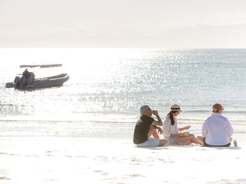 Hervey Bay: Half-Day Whale and Island Adventure by Boat - Final Thoughts