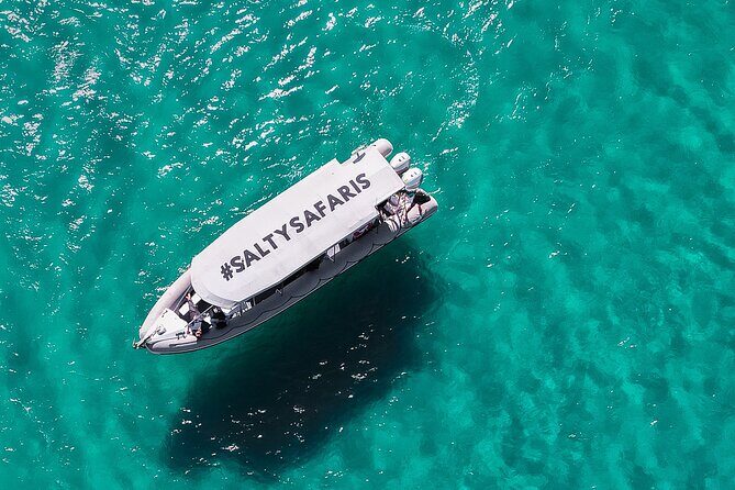 Hervey Bay: Half Day Whale watching & Island Stop Tour - What’s Included and What’s Not