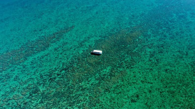 Hervey Bay: Turtle Discovery Eco Tour - Key Points