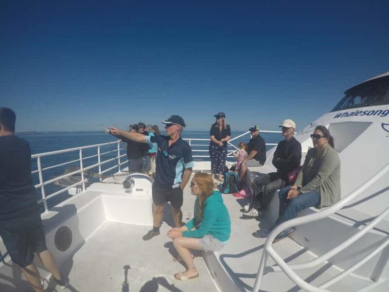 Hervey Bay: Whalesong's Half-Day Whale Watching Cruise& Meal - The Sum Up