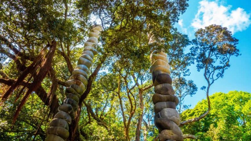 Hidden Auckland Small-Group Walking Tour - Why This Tour Works Well