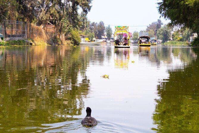 Hidden Canals of Tláhuac: A Peaceful Alternative to Xochimilco - What’s Included and What’s Not