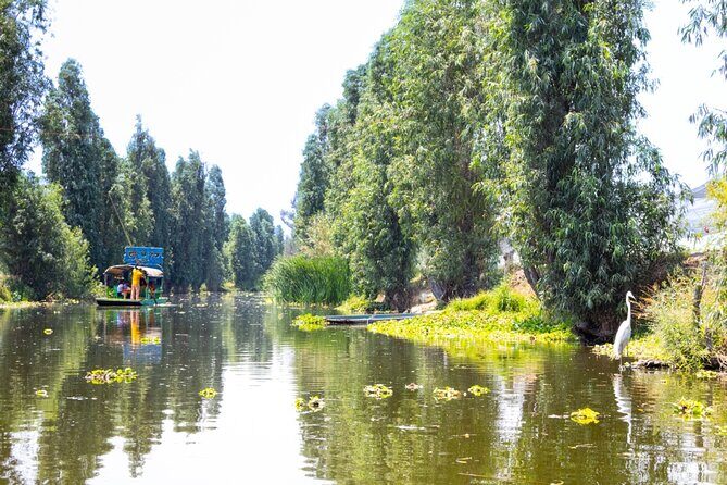 Hidden Canals of Tláhuac: A Peaceful Alternative to Xochimilco - Authenticity and Cultural Connection