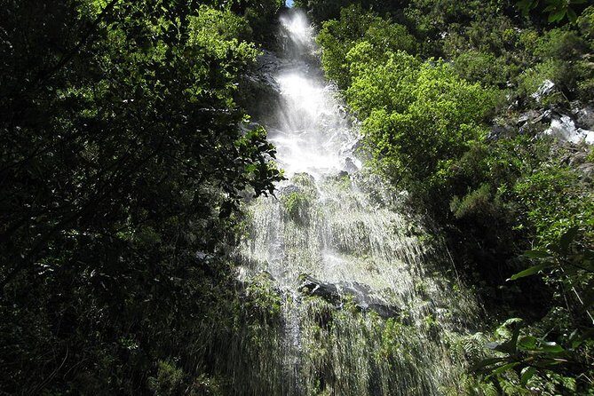 Hidden Corners: Levada Walk from Funchal - The Itinerary in Detail