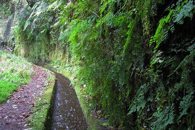 Hidden Corners: Levada Walk from Funchal - Who Is This Tour Best For?