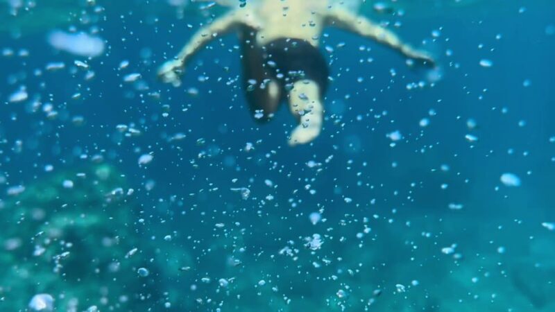 Hidden Coves, Hiking & Snorkeling Adventure in Mallorca - Key Points