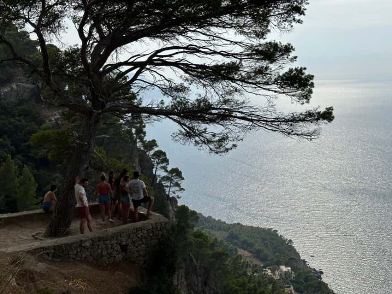 Hidden Coves, Hiking & Snorkeling Adventure in Mallorca - FAQs