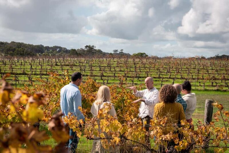 Hidden Gems Margaret River: Authentic Wine & Farm Experience - Who Would Love This Tour?
