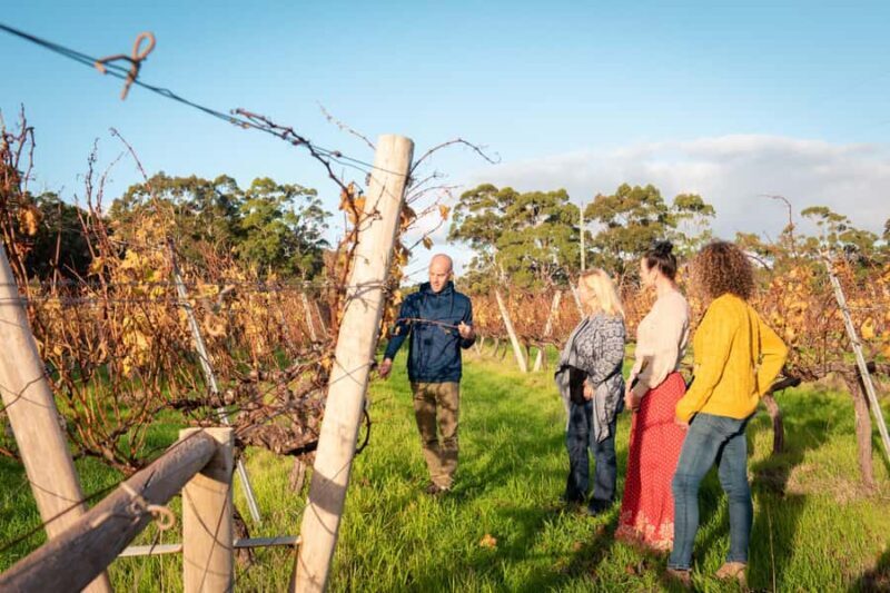 Hidden Gems Margaret River: Authentic Wine & Farm Experience - Note: Remember to wear comfortable clothing and shoes, bring your ID for wine tasting, and prepare for a day full of delightful surprises and delicious discoveries.