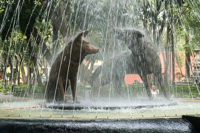 Hidden Gems of Mexico City: Exploration Game and Tour - The Value of This Experience