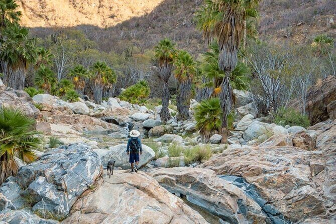 Hidden Gems of Sierra Laguna: El Triunfo and Natural Springs. - Key Points