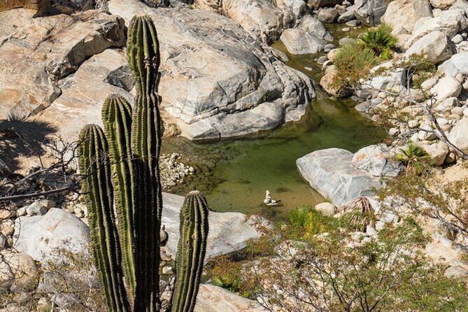 Hidden Gems of Sierra Laguna: El Triunfo and Natural Springs. - FAQ