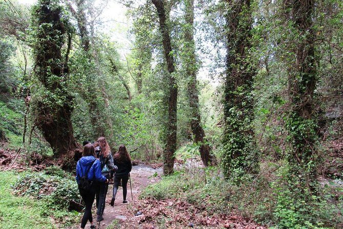 HIDDEN GEMS - RICHTIS GORGE for nature lovers! - An In-Depth Look at the Richtis Gorge Tour