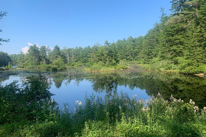 Hidden Harbor E Bike Tour of Boothbay Harbor - Why This Tour Is Worth Considering