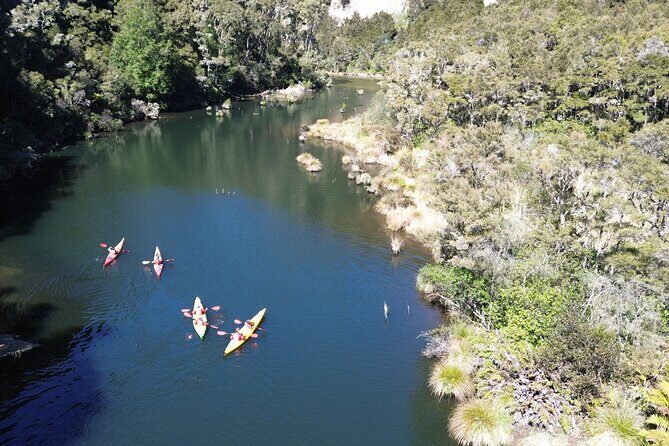 Hidden Lake Kayak Tour in Taups Secret Gem - What Is the Hidden Lake Kayak Tour?