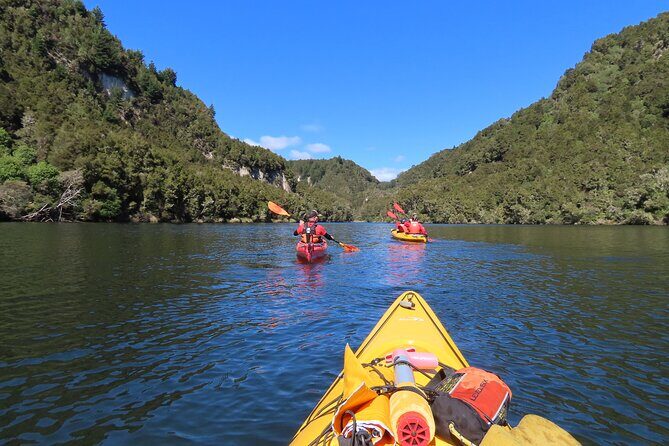 Hidden Lake Kayak Tour in Taups Secret Gem - Who Will Love This Experience?