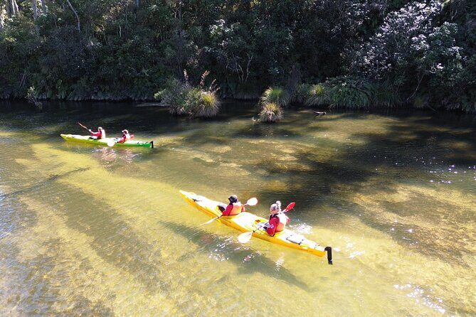 Hidden Lake Kayak Tour in Taups Secret Gem - FAQ