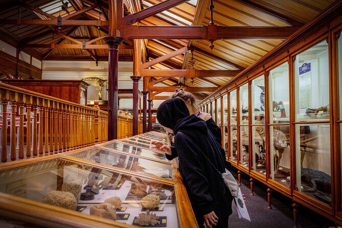 Hidden Thura Otago Museum Experience - A New Way to Experience the Otago Museum