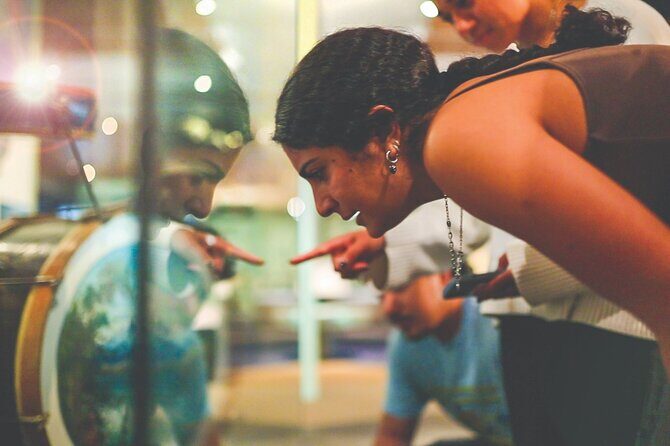 Hidden Thura Otago Museum Experience - The Sum Up