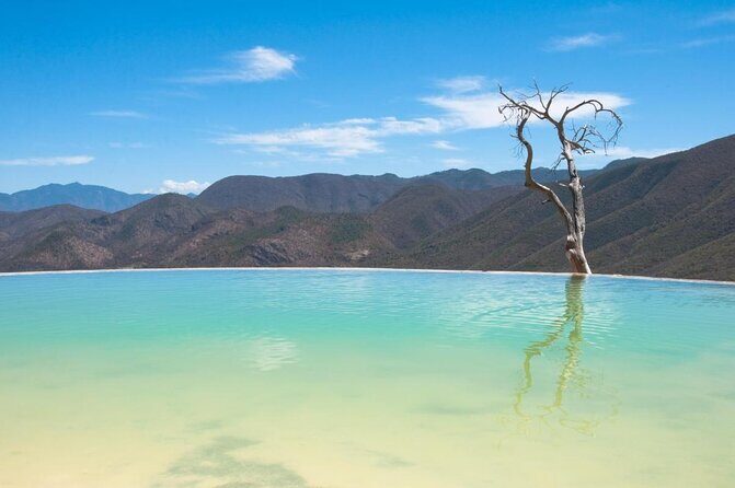 Hierve el Agua, Tule Tree, Mitla and Mezcal Distillery Tour - Is This Tour Worth It?
